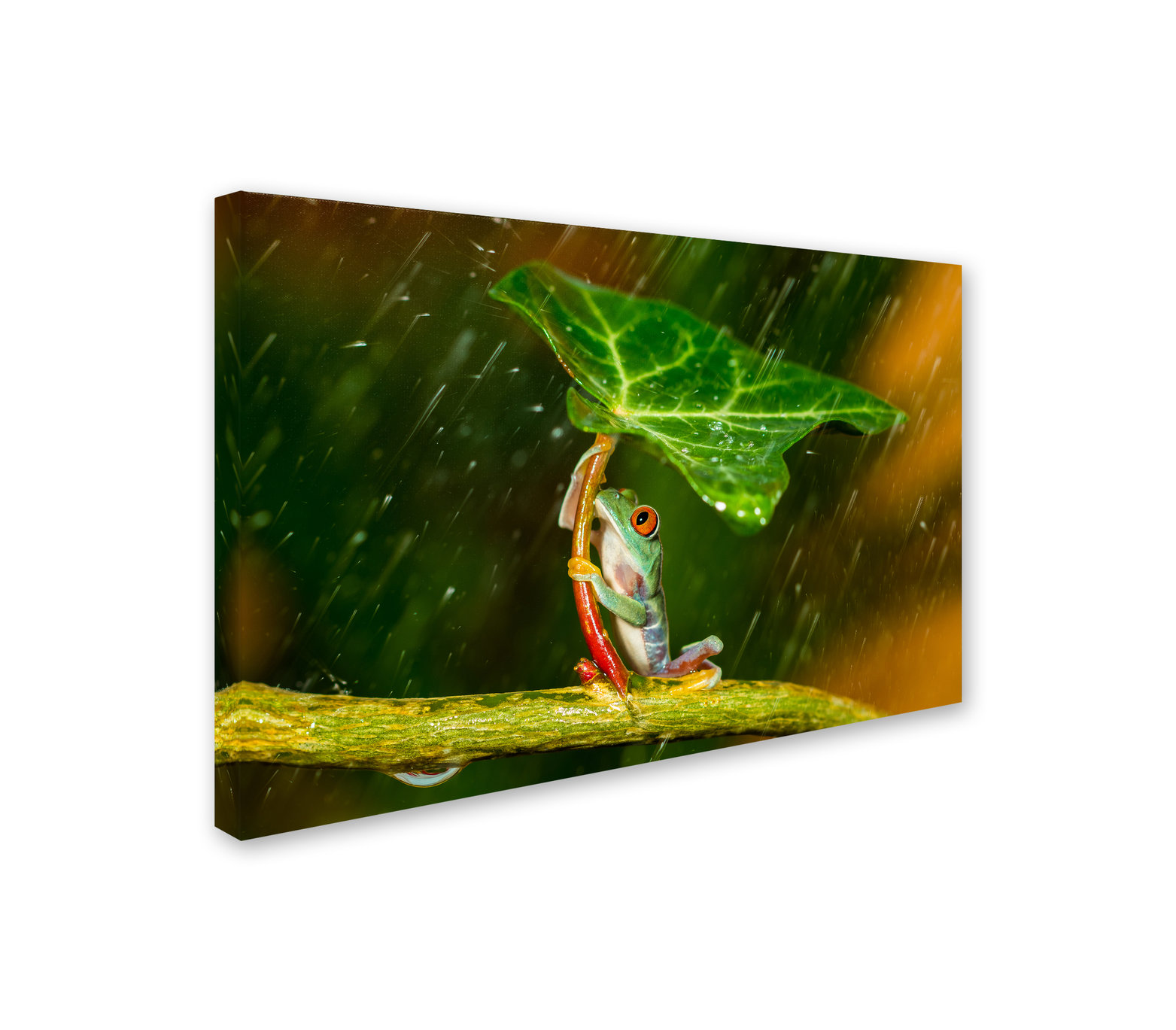 Kutub Uddin 'Ohh Noo It's Raining' Canvas Art, 24"x 16" - Contemporary ...