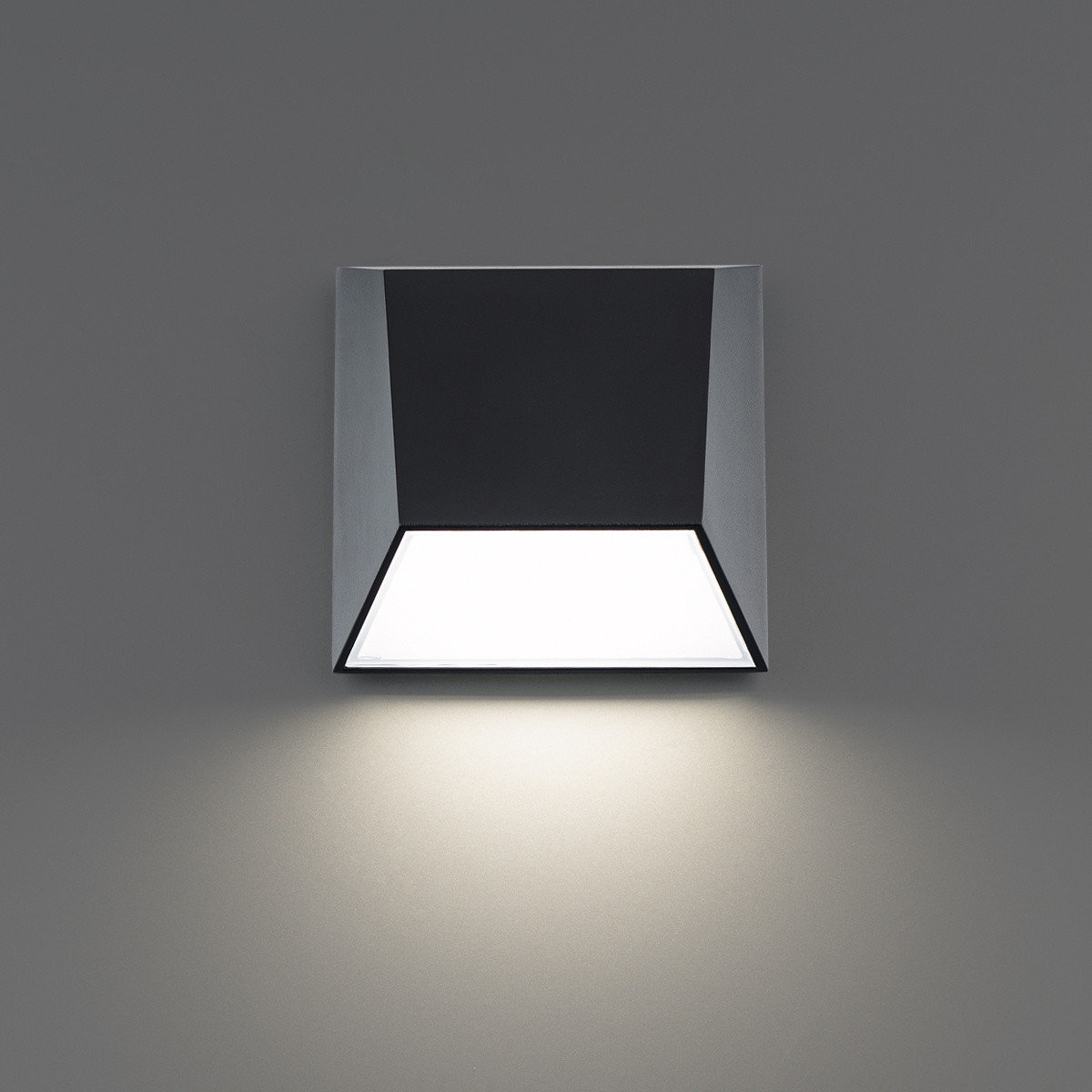 Atlantis LED Outdoor Wall Light in Black - Modern - Outdoor Wall Lights ...