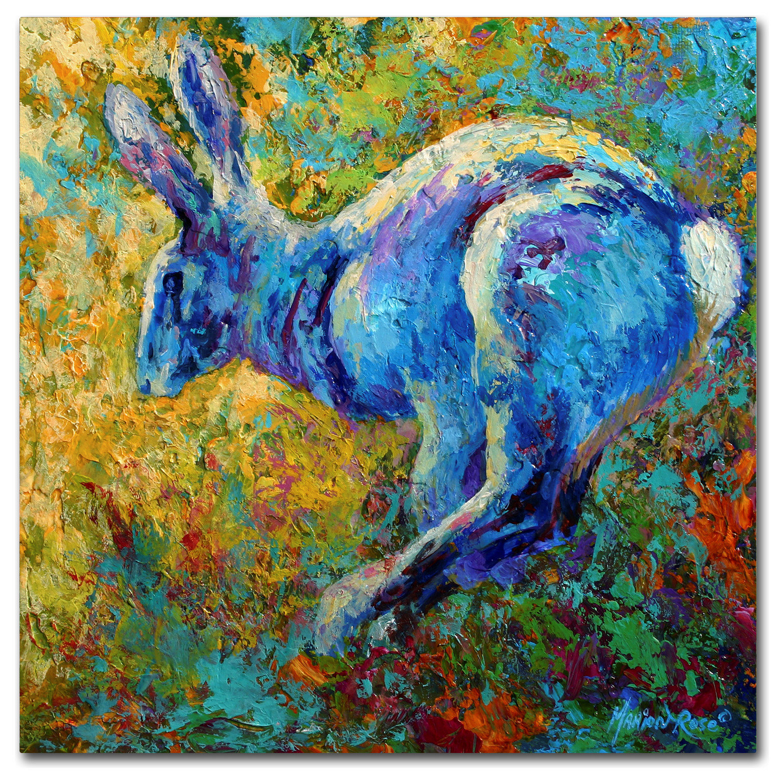 Marion Rose 'Hare' Canvas Art, 14"x 14" - Farmhouse - Prints And ...