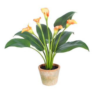 Petite Potted Faux Calla Lily, Sunset - Contemporary - Artificial ...