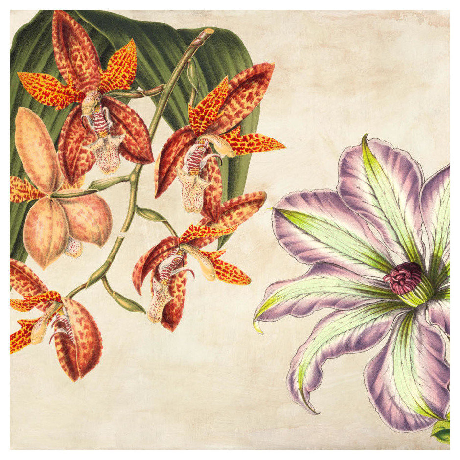 "Panneau Botanique V" Digital Paper Print by Remy Dellal, 20"x20", 20 ...