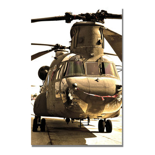 'Chinook' Canvas Art by CATeyes, 35" x 47" - Traditional - Prints And ...