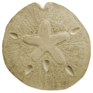 Fish in Water Stepping Stone Mold - Asian - Landscaping Stones And ...