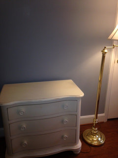 SW Paint: Sheen and Type of Paint