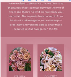 Wisconsin Roses, Steve Singer, is sending me my first maidens! | Houzz ...