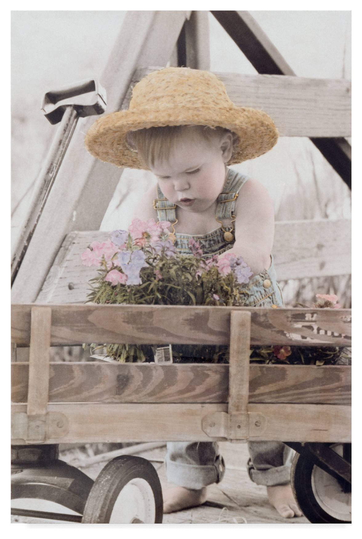 Sharon Forbes 'Planting Time' Canvas Art, 24"x16" - Farmhouse - Prints ...