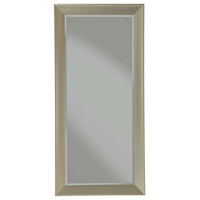 Contemporary Full Length Leaner Mirror With Polystyrene Frame, Brushed ...