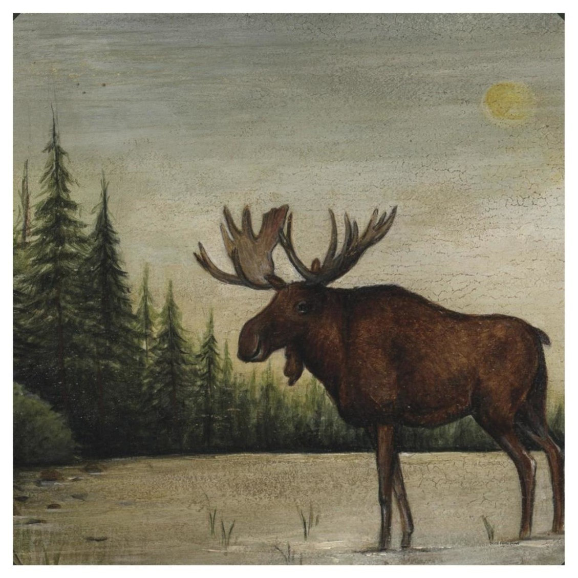 "North Woods Moose II" Digital Paper Print by David Carter Brown, 20 ...
