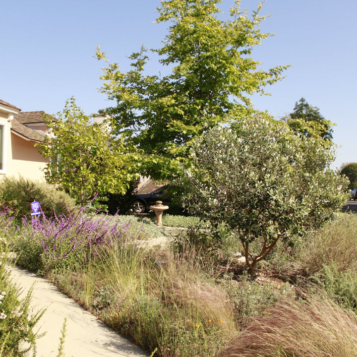 75 Beautiful Australian Native Garden Ideas & Designs - July 2025 ...