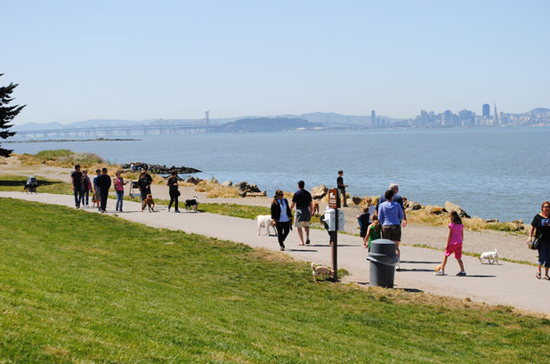 Designed for Dogs: 5 Fantastic Dog Parks Across the U.S.