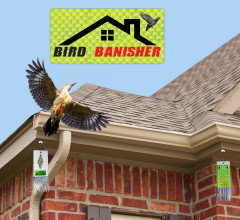 Help! Woodpeckers pecked holes in my stucco!!!! | Houzz Forum