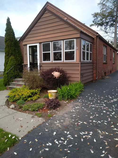 My neighbor's house
