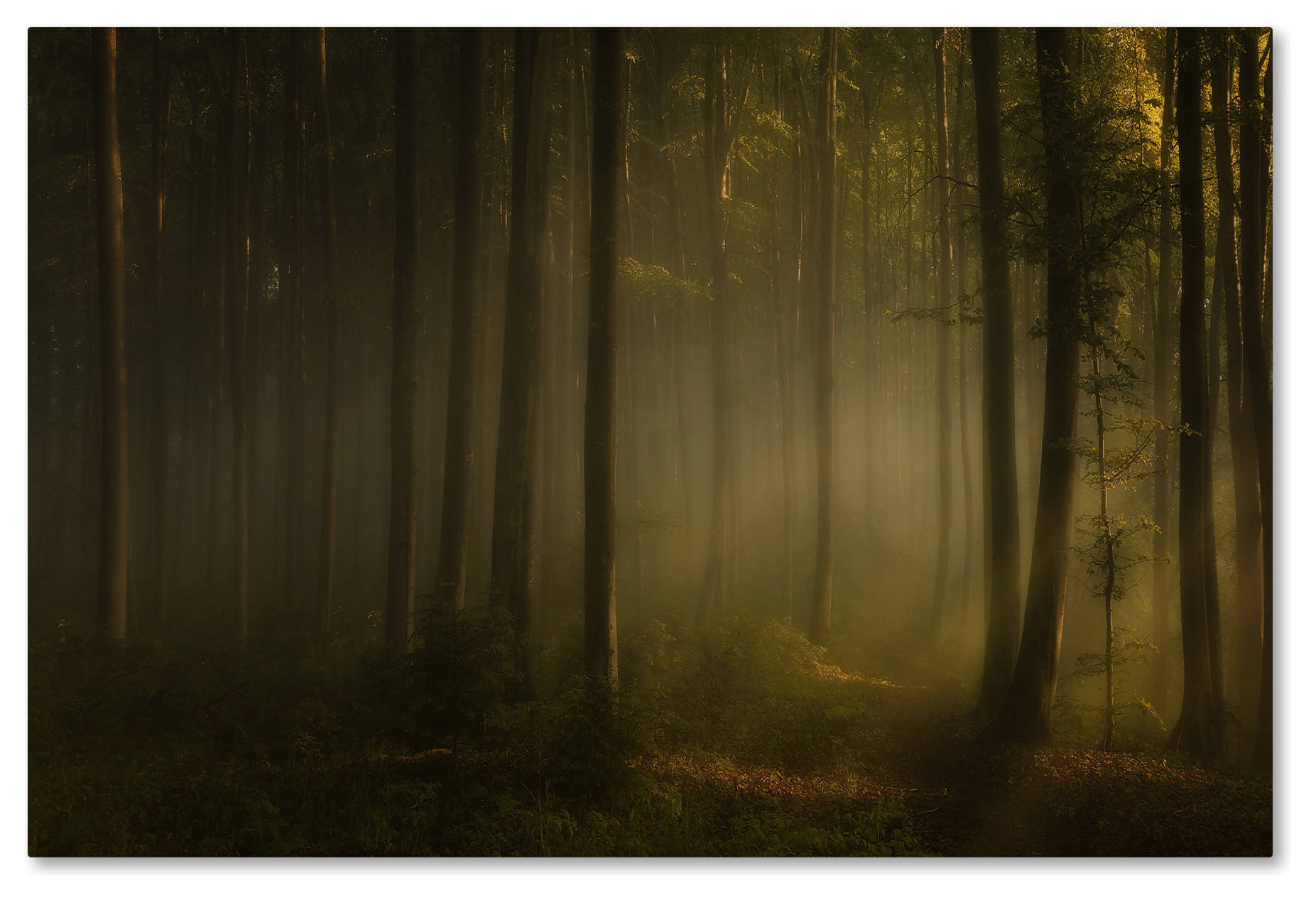 Norbert Maier 'How Can Words Express' Canvas Art, 22"x32" - Rustic ...