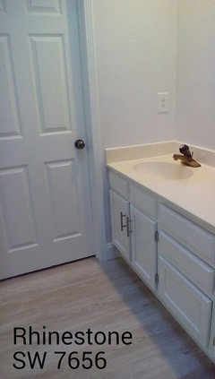 Sherwin Williams Rhinestone Sw7656