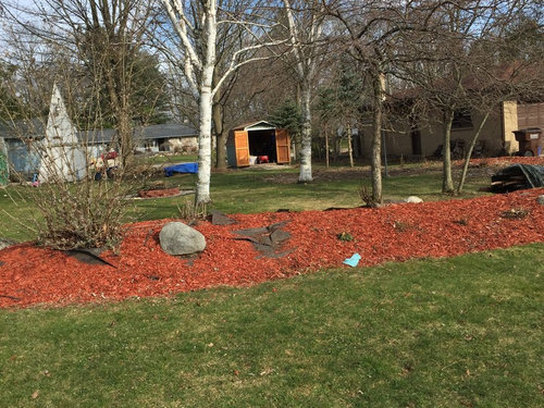 Ideas for large mound of plants