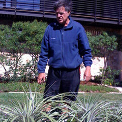 CIEL DESIGN FOR GARDENS - Project Photos & Reviews - Austin, TX US | Houzz