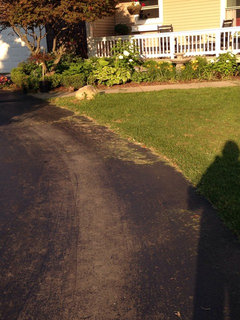Landscaping the corner slope | Houzz Forum