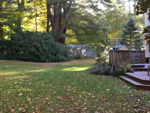 Neighbors gross fence, my weird landscaping aesthetic