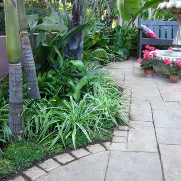 Mexican Geranium - Photos & Ideas | Houzz