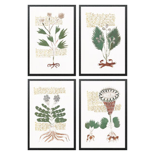 Magical Botany Framed Art, 4-Piece Set - Farmhouse - Prints And Posters ...