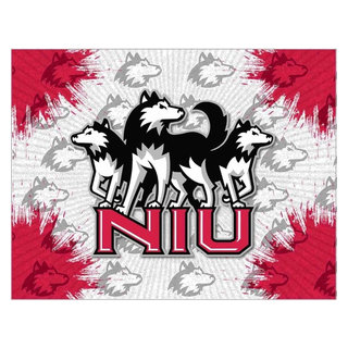 Northern Illinois Logo Canvas, 32"x24" - Contemporary - Prints And ...