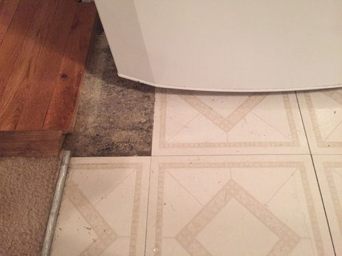 Damaged linoleum - help!