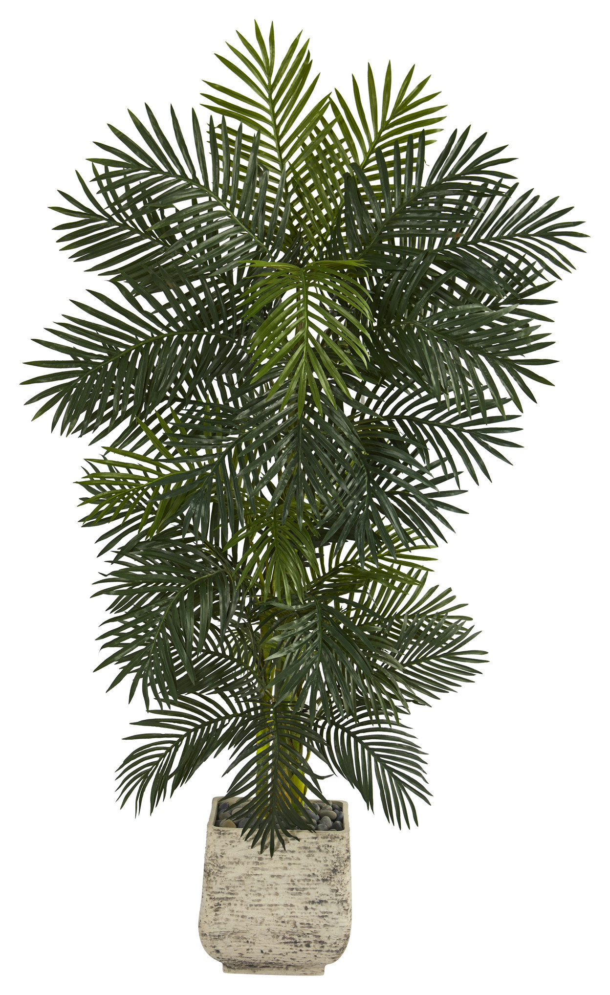 6.5' Golden Cane Artificial Palm Tree, White Planter - Modern ...