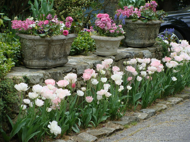 9 Beautiful Early Spring Container Gardens
