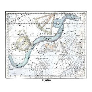 Hydra, 12" x 18" - Traditional - Prints And Posters - by Buyenlarge Inc ...