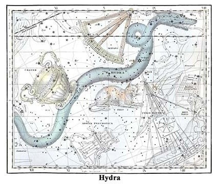 Hydra, 12" x 18" - Traditional - Prints And Posters - by Buyenlarge Inc ...