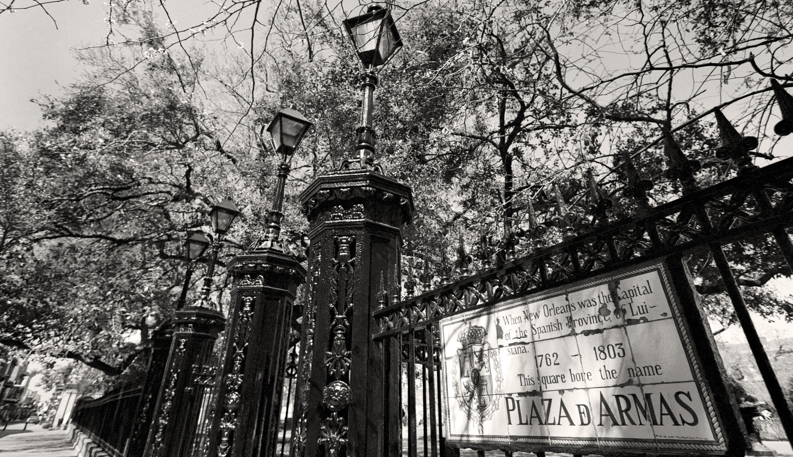 Iron Fence & Gate Jackson Square New Orleans Black & White Fine Art ...