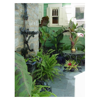 Gardens - Tropical - Garden - Philadelphia - by Texada Landscaping, Inc ...
