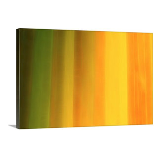 "Warm Tonality" Wrapped Canvas Art Print, 24"x16" - Contemporary ...