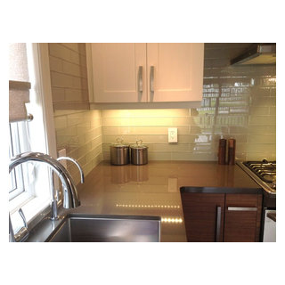 modern kitchen reno - Modern - Kitchen - Toronto - by User | Houzz