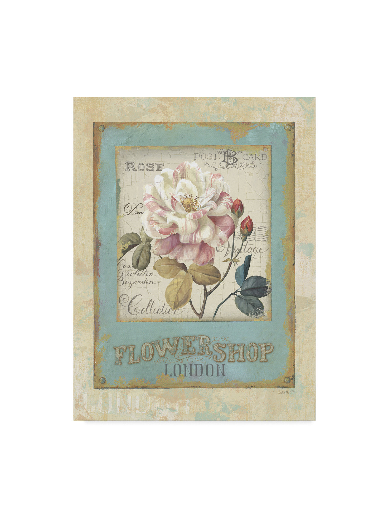 Lisa Audit 'Flower Shop I' Canvas Art, 47"x35" - Contemporary - Prints ...