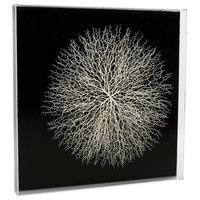 Abstract Branches, Acrylic Wall Art - Contemporary - Wall Accents - by ...