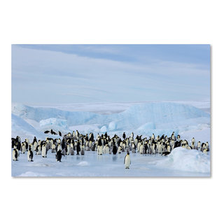 "Penguins." by Robert Harding Picture Library, Canvas Art, 22"x32 ...