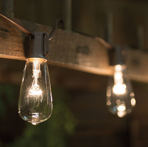Clear Edison Light Strand, 10-Count - Traditional - Outdoor Rope And ...