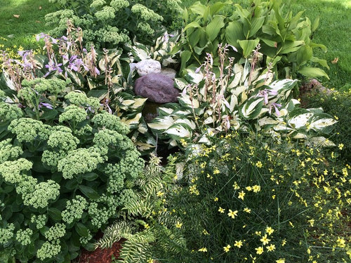 Crowded perennial bed