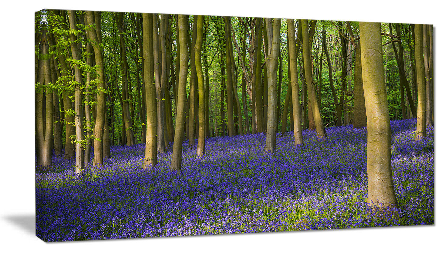 Designart - Bluebell Woods in Oxfordshire - Landscape Canvas Art Print ...