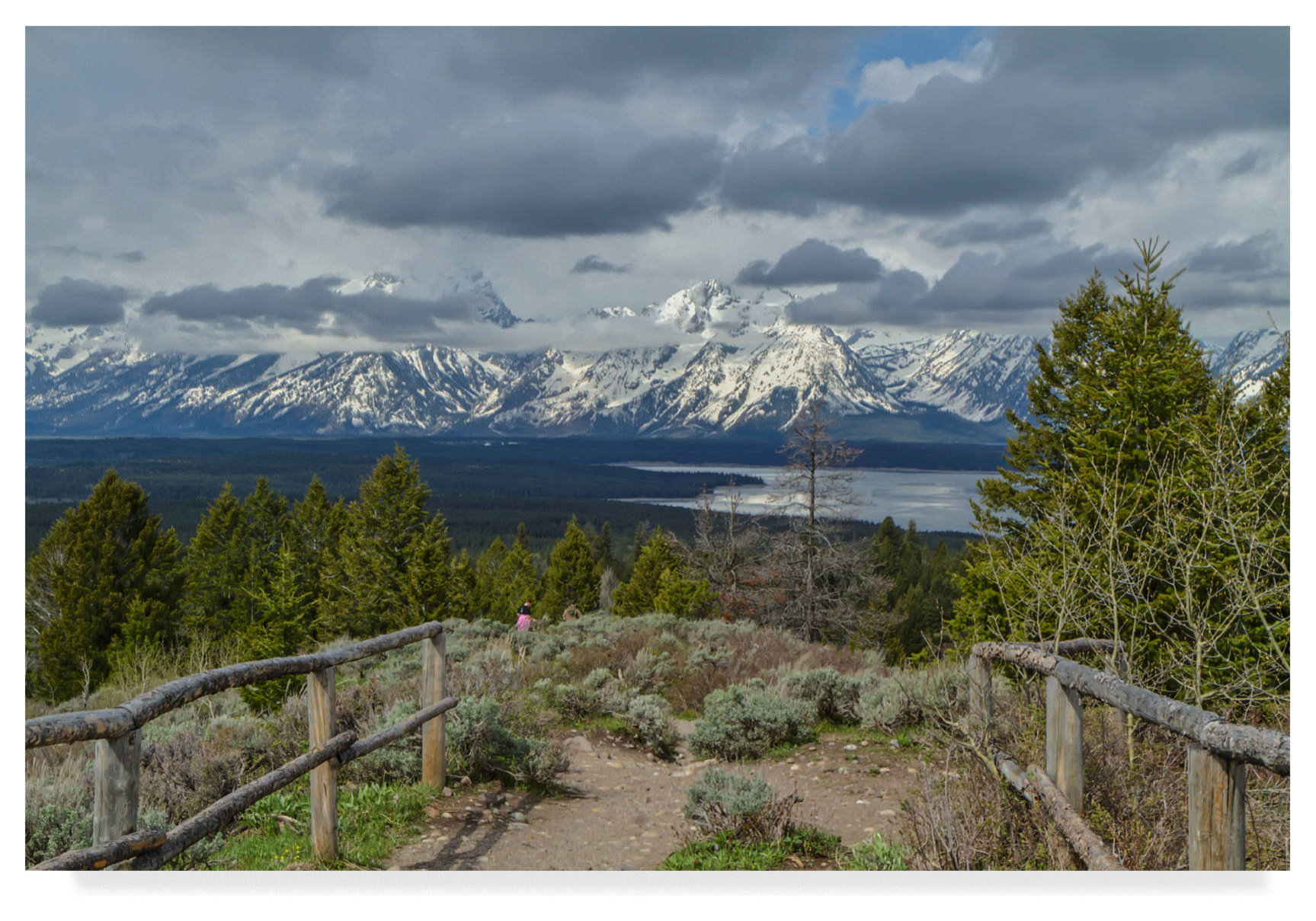 Galloimages Online 'Jackson Lake Overlook' Canvas Art, 19"x12 ...