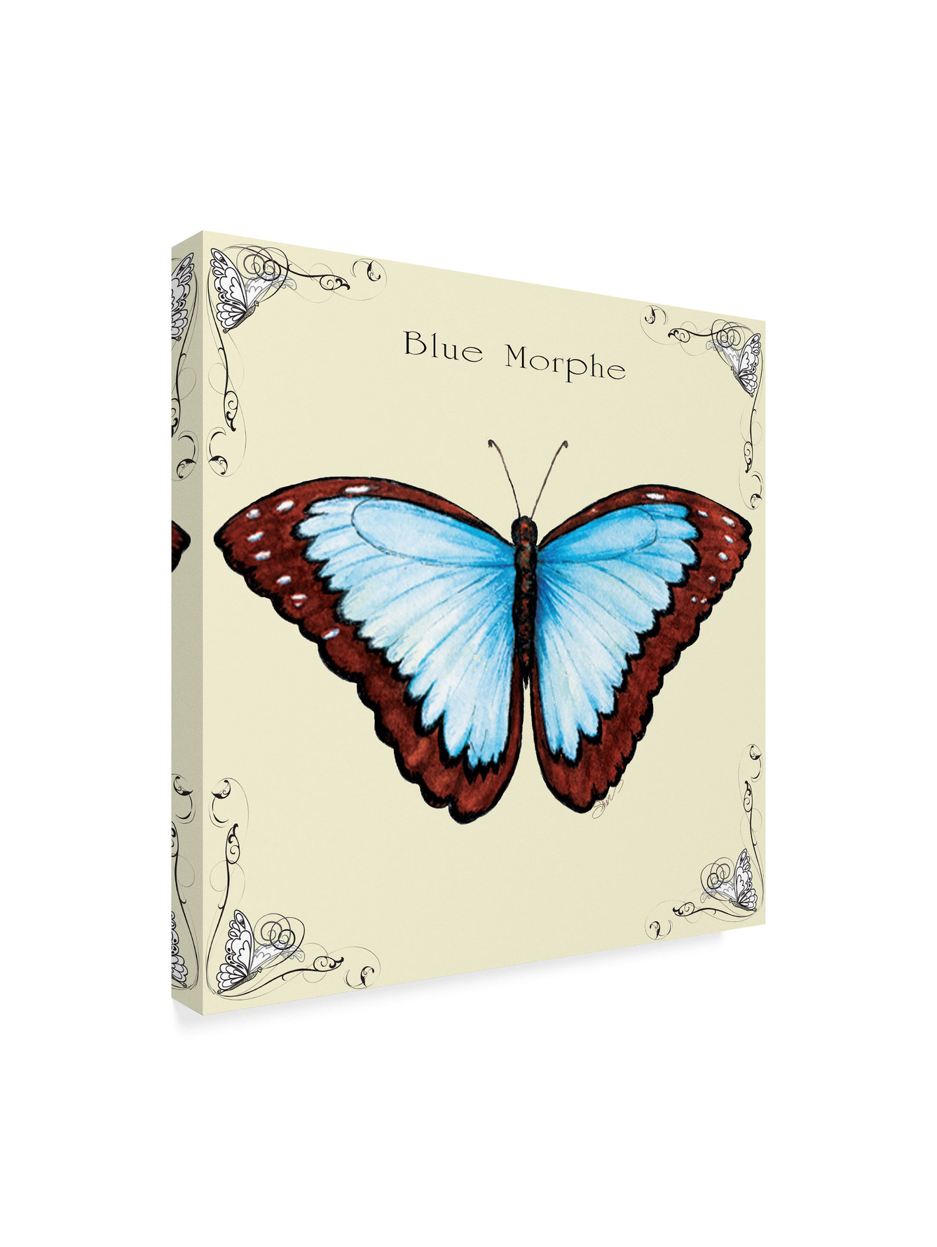 "Butterfly Blue Morphe" by Sher Sester, Canvas Art, 14"x14 ...