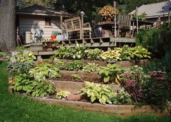 show me yours, so i can build mine - raised hosta beds