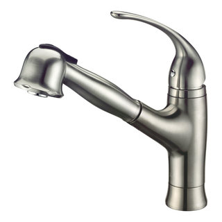 Dawn Single-Lever Pull-Out Spray Kitchen Faucet, Brushed Nickel ...