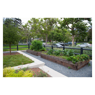 Sidewalk Adjacent Edible Beds - Traditional - Garden - Los Angeles - by ...