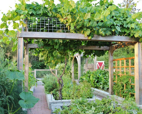 Rebar Trellis Home Design Ideas, Pictures, Remodel and Decor