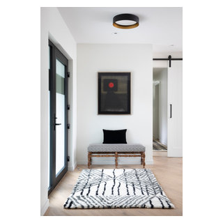 California Scandi-Modern - Scandinavian - Entry - San Francisco - by ...