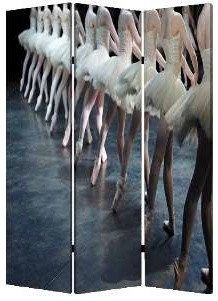Ballet Screen - Contemporary - Screens And Room Dividers - by Screen ...