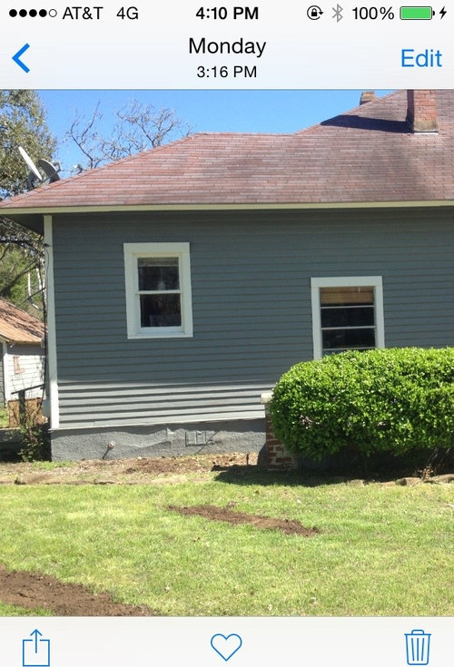 What kind of small tree or shrub for under window