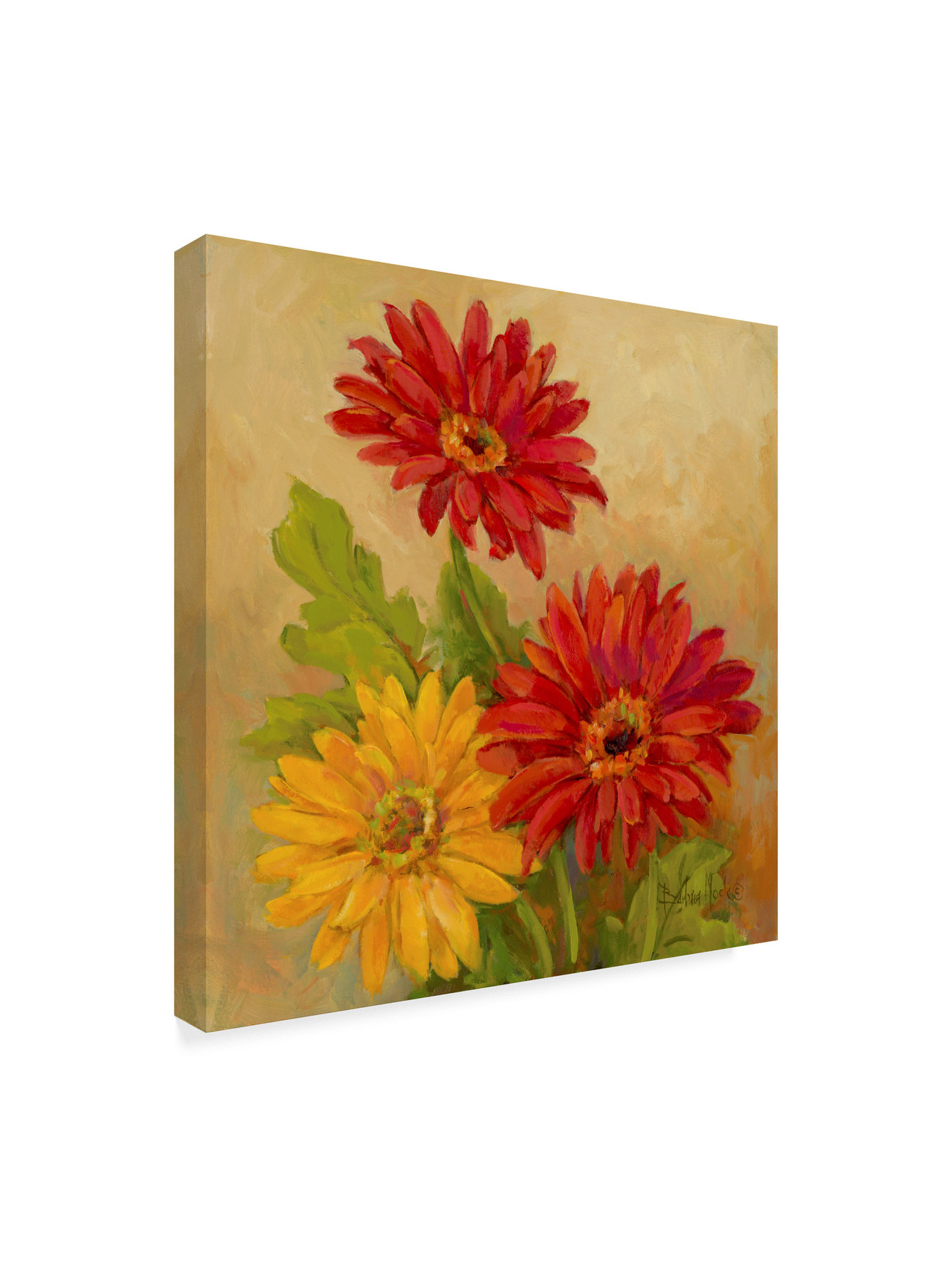 Barbara Mock ' Gerber Daisies' Canvas Art, 24"x24" - Contemporary ...